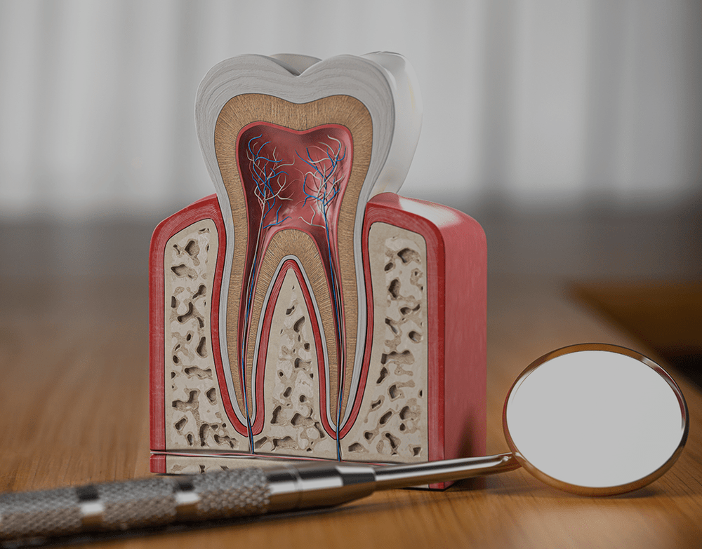 Exposed Tooth Root Symptoms, Causes, And Treatments – NatruSmile