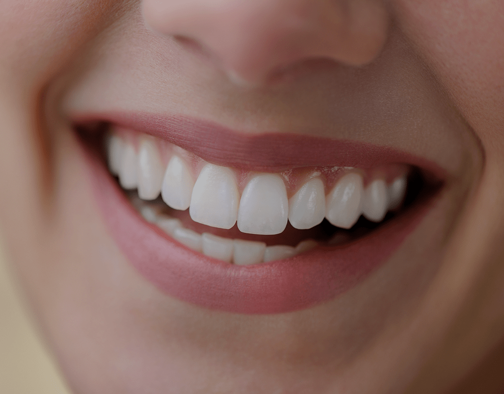 Human Canine Teeth (2023 Guide) – NatruSmile